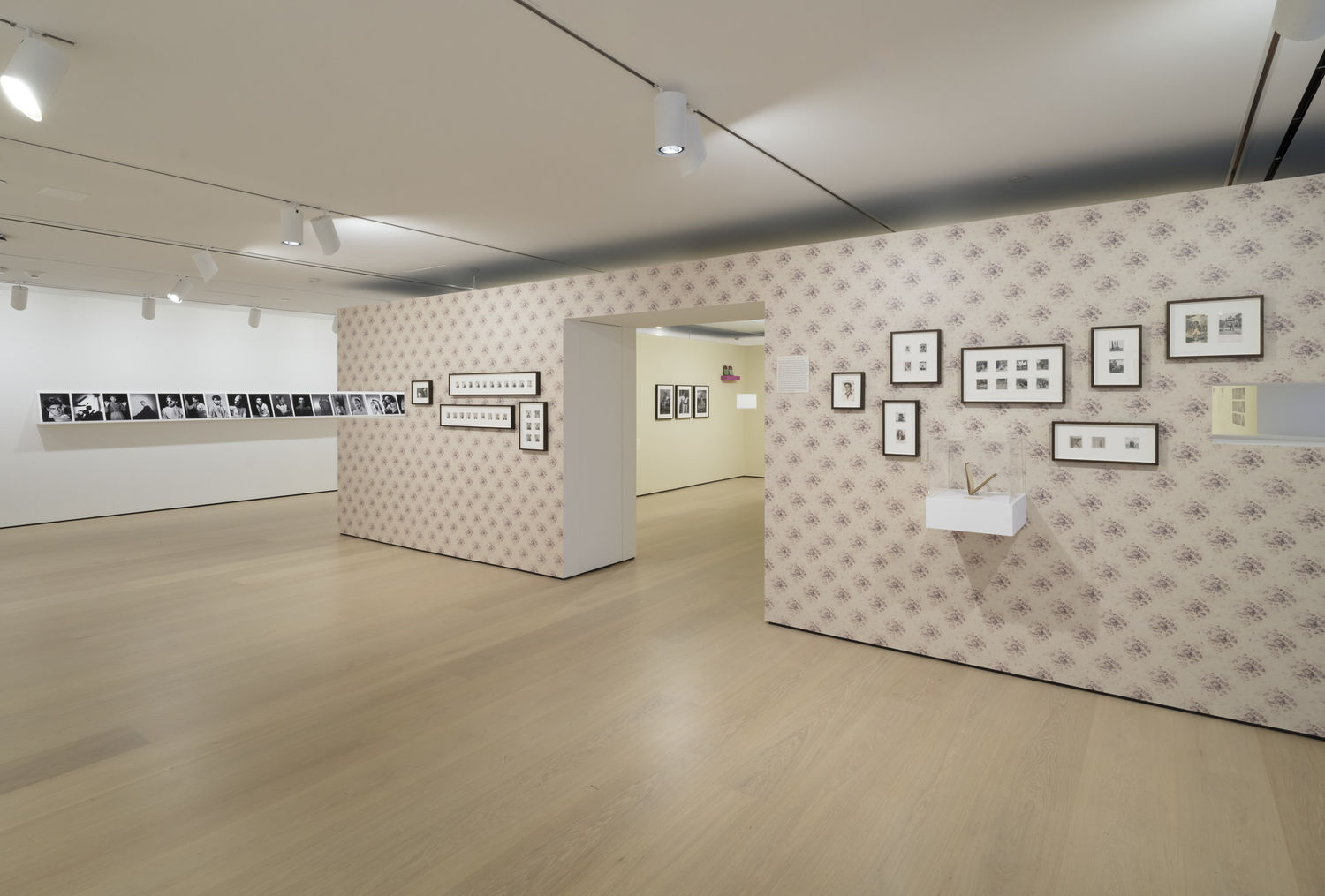 Becoming Van Leo | Hammer Museum